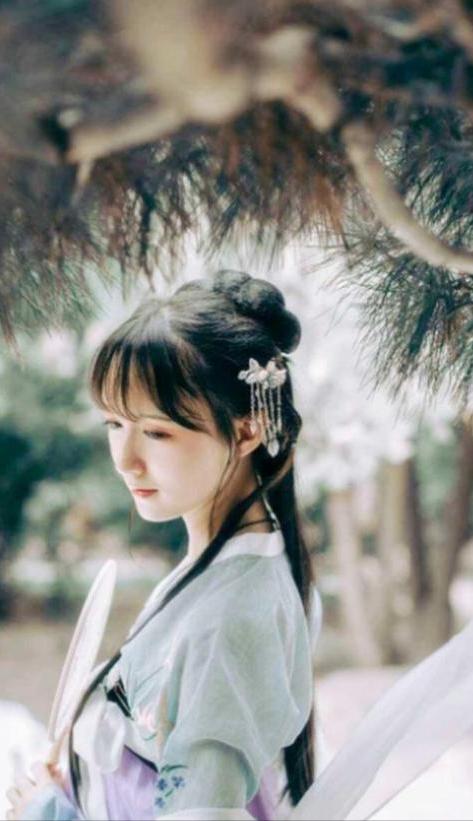 Qinhuai's Bayan Zhi Gu Hengbo - iNEWS