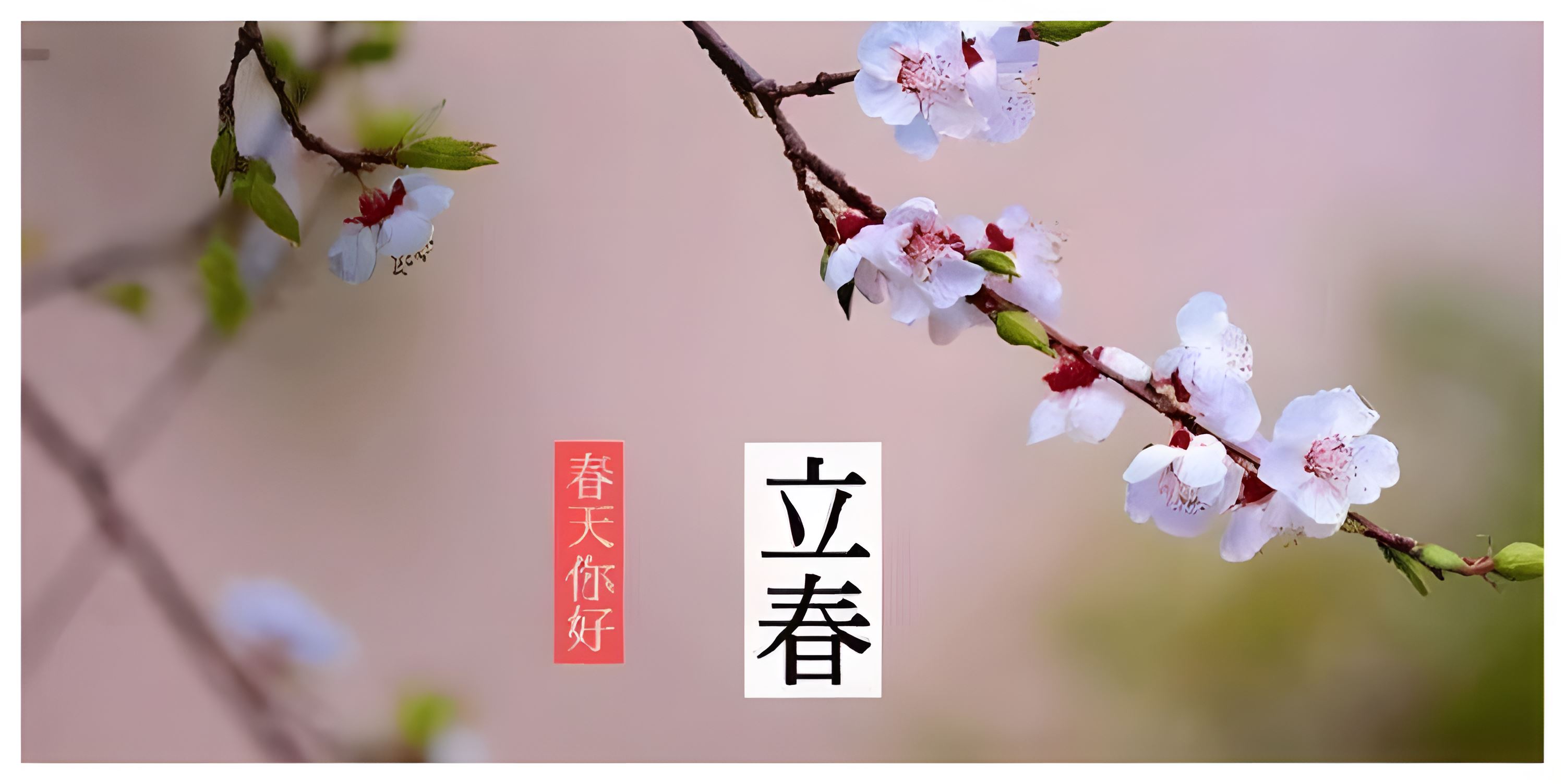 The annual multi-spring is coming, pay attention to the following ...