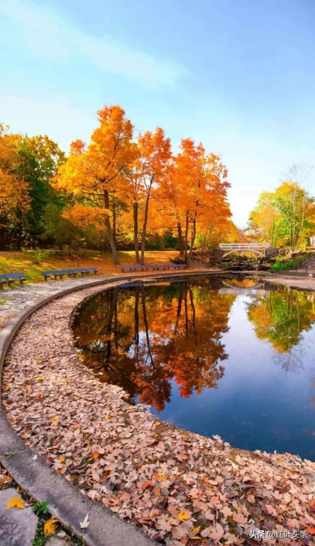 Read Mr. Jia Xixin's "On the Six Poems" and realize the seventeen poems ...