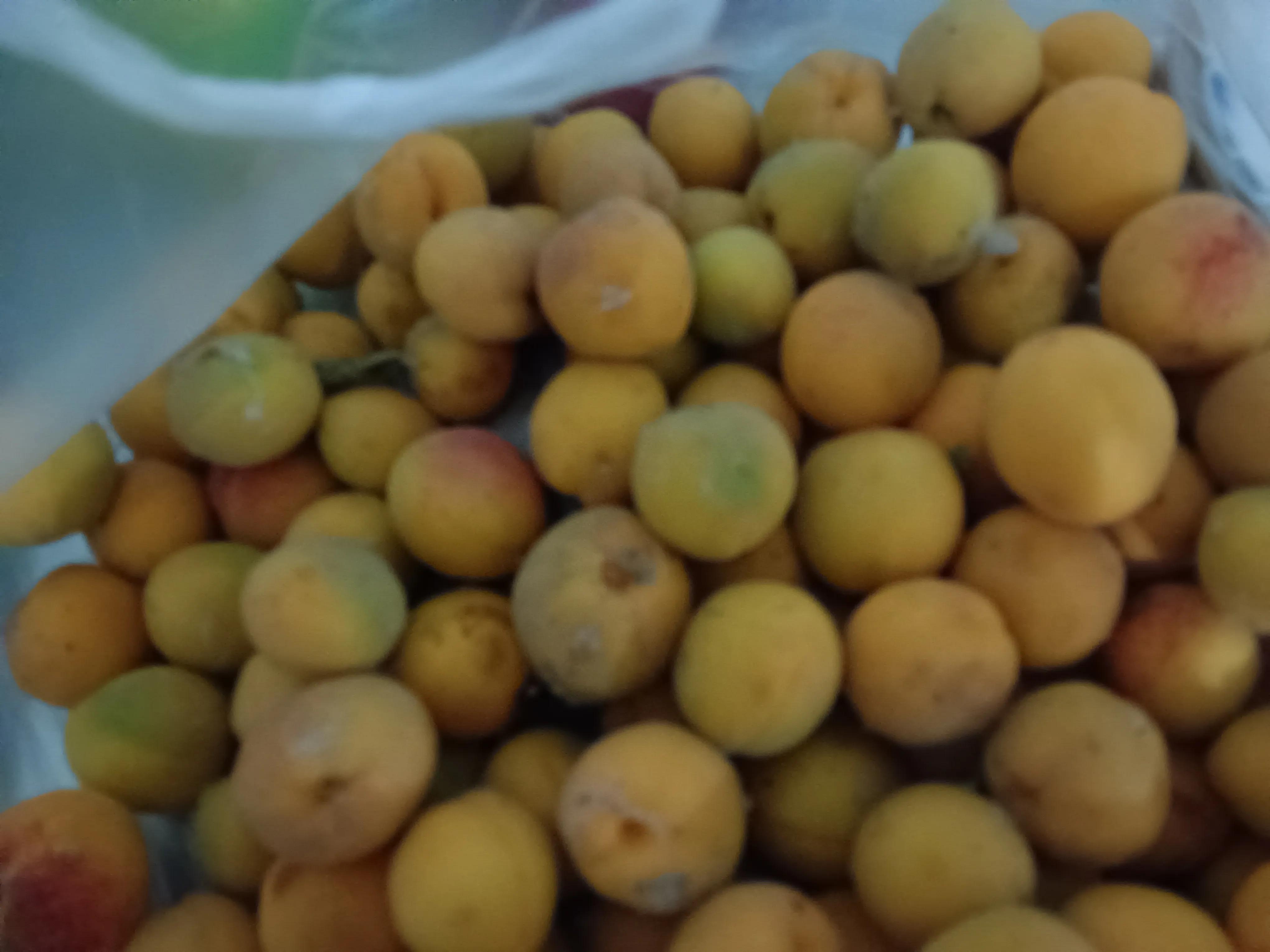 My aunt sends a bag of apricots to each of our family every year, but ...
