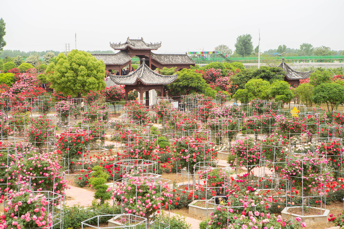 My hometown is the city where I live, Nanyang - iNEWS