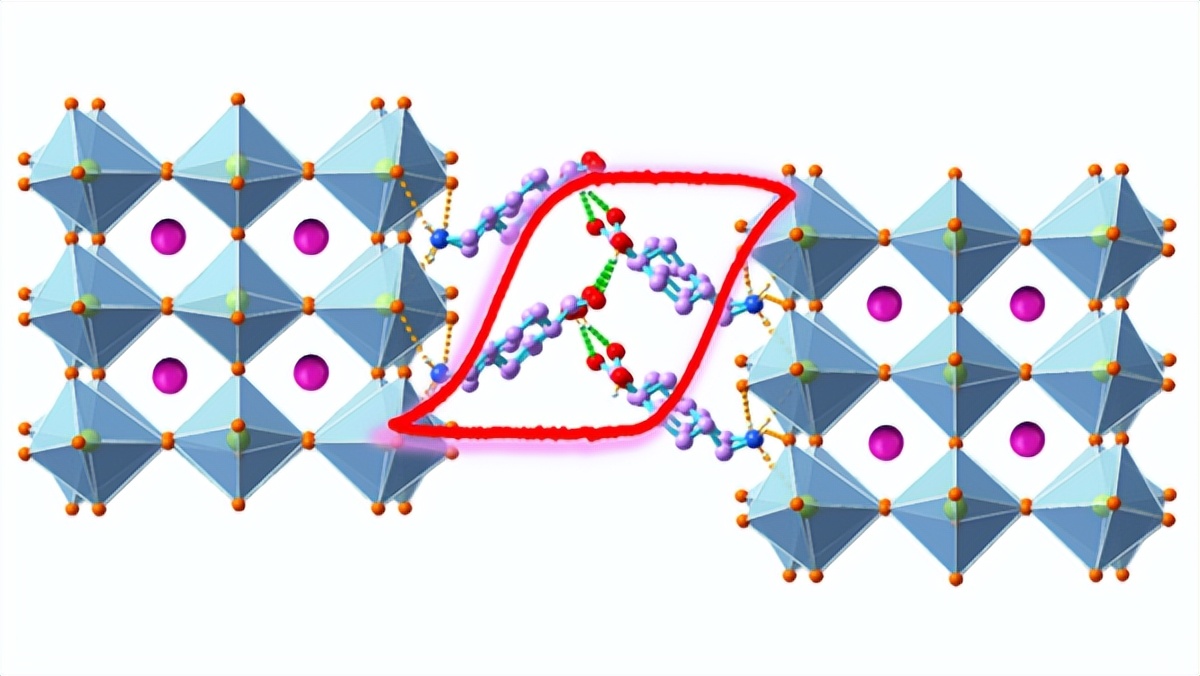 Magnetic Field Effects in Hydrogen Bonded Semiconductor Organic Field ...