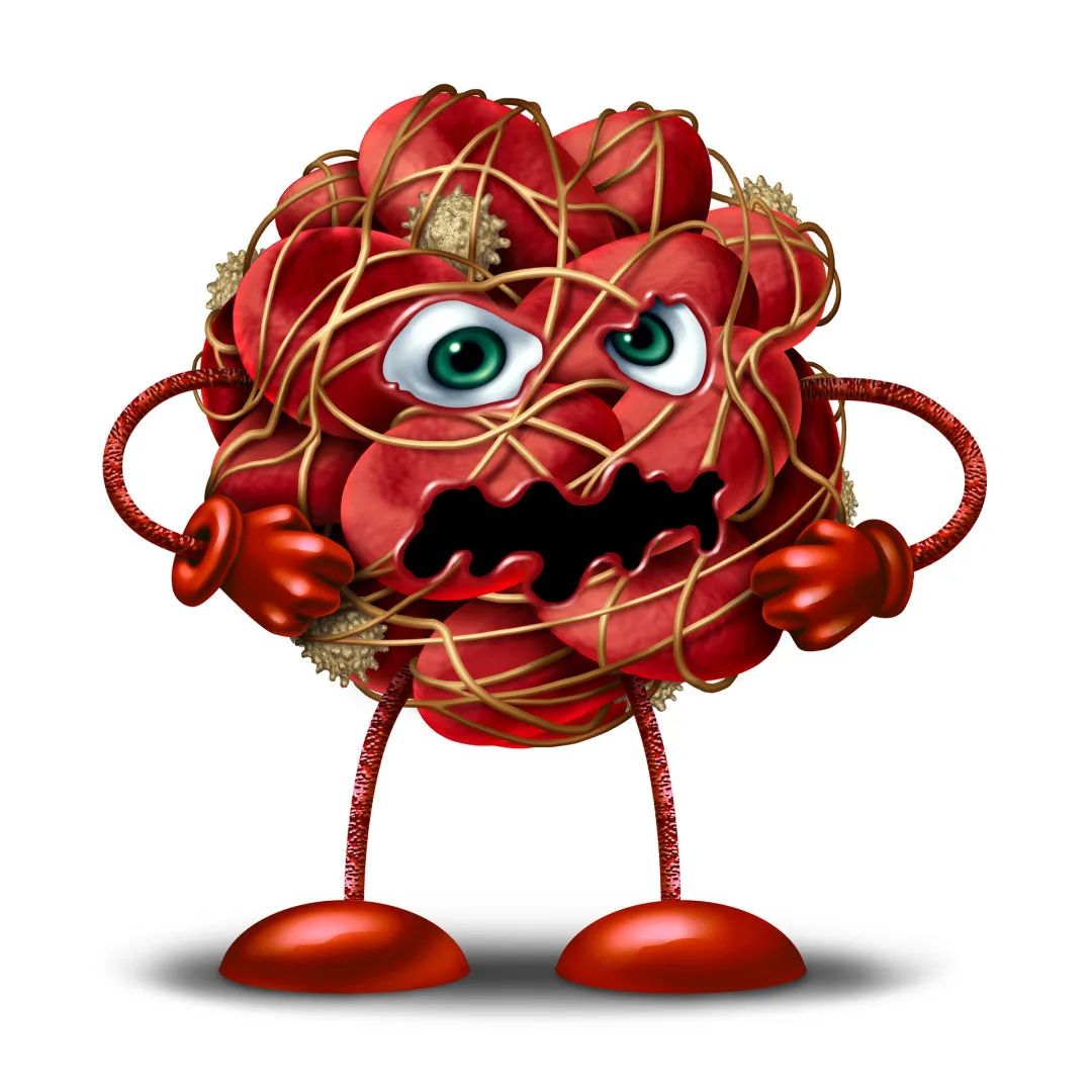 Which drugs can help improve cerebral blood circulation? - iMedia