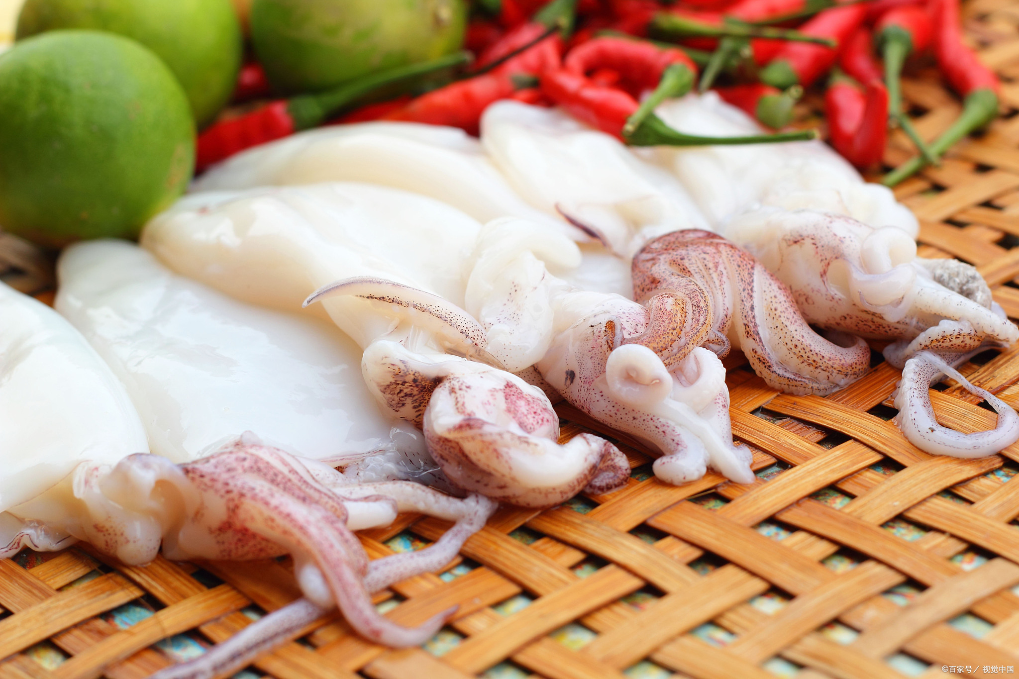 Squid strategy: How to make delicious squid at home? - iMedia