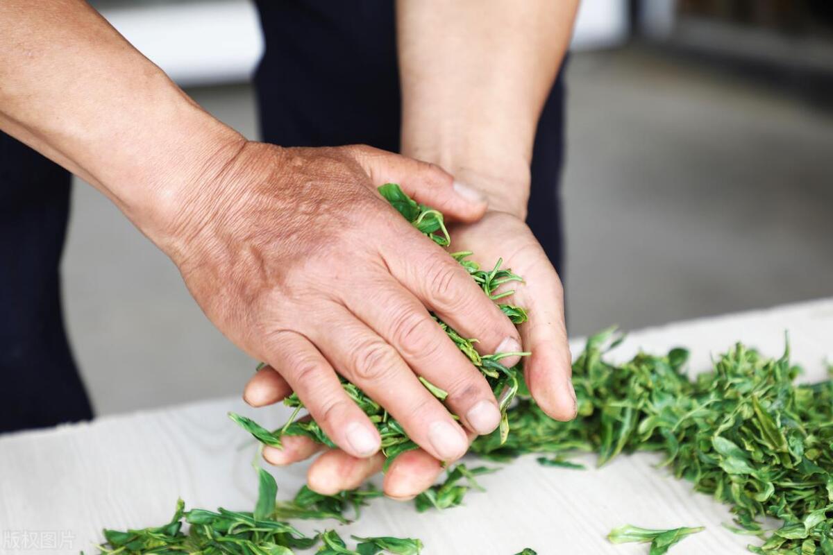 Green tea processing process - iNEWS