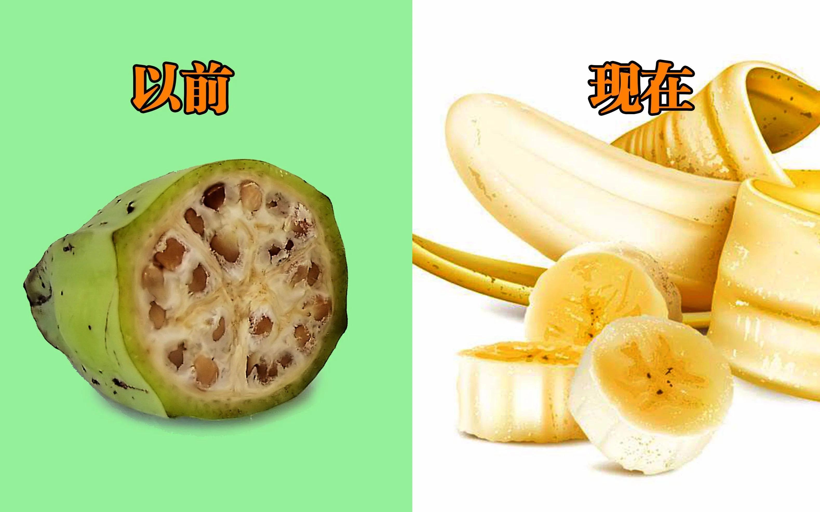 Eat and cherish your usual banana is on the verge of extinction - iNEWS
