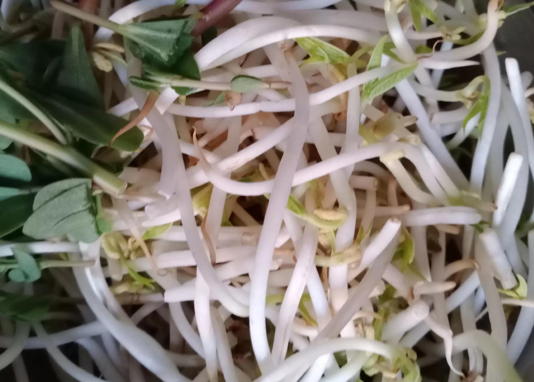 Home Cooking Meal - Fried Cake - iMedia