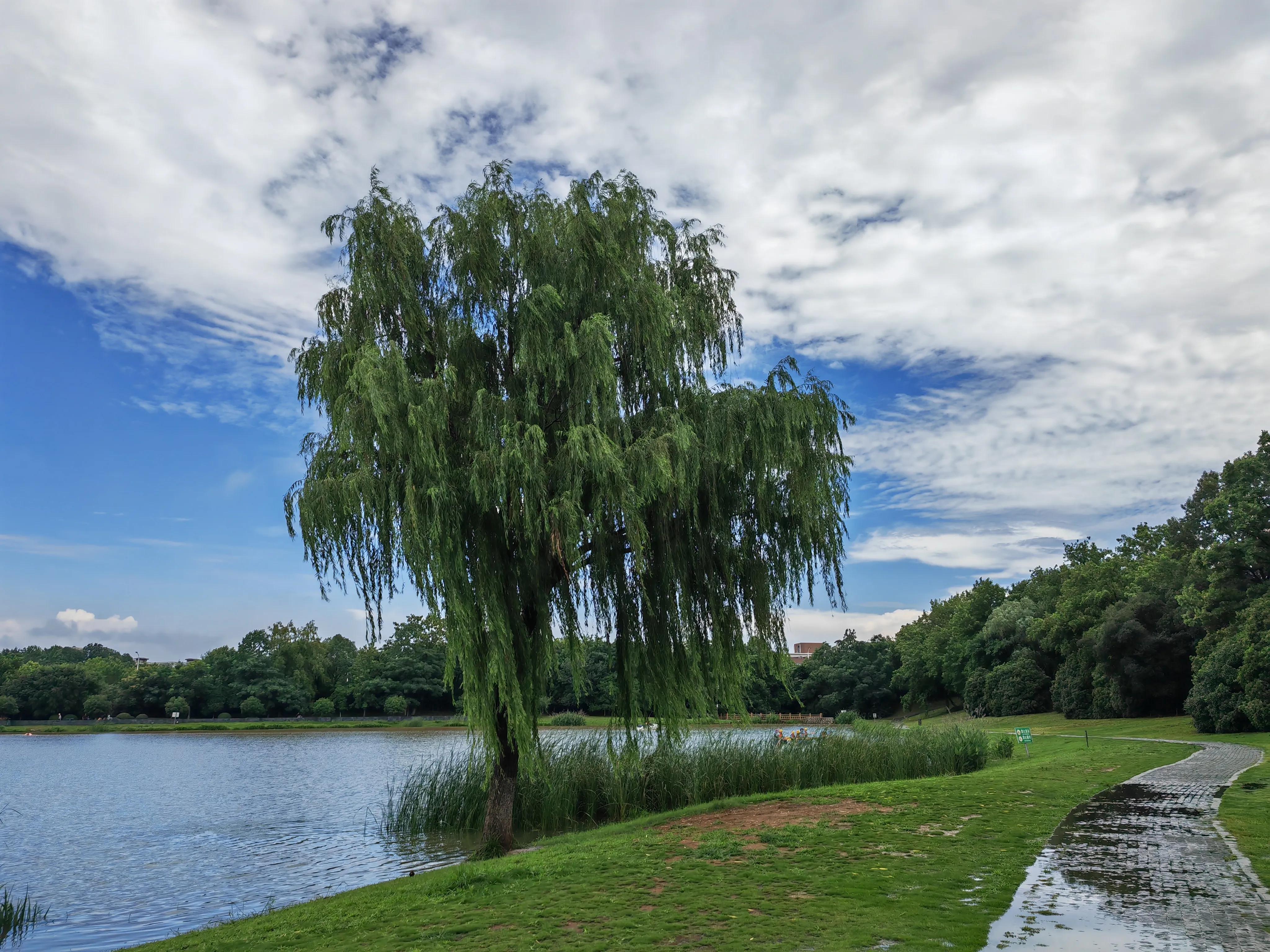 Where is the Bashang Grassland in Nanjing? Come, follow me to the ...