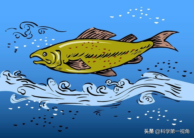 How do fish move through water? The latest research by scientists has ...