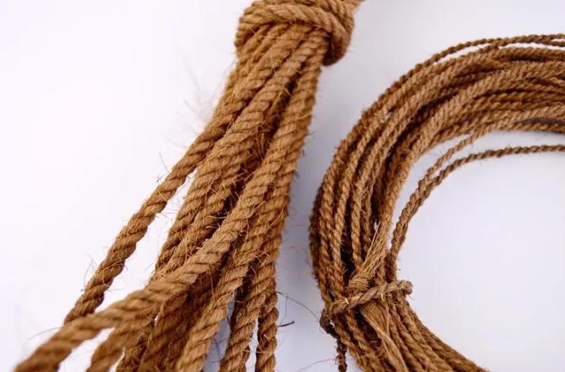 During the Paleolithic period, the development of ropes can be ...