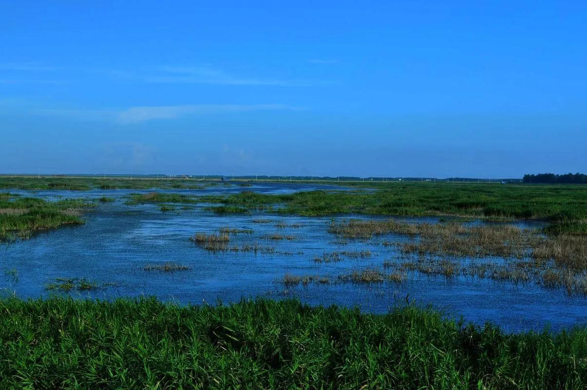 Yingzhou in the East China Sea—the formation and continuous expansion ...