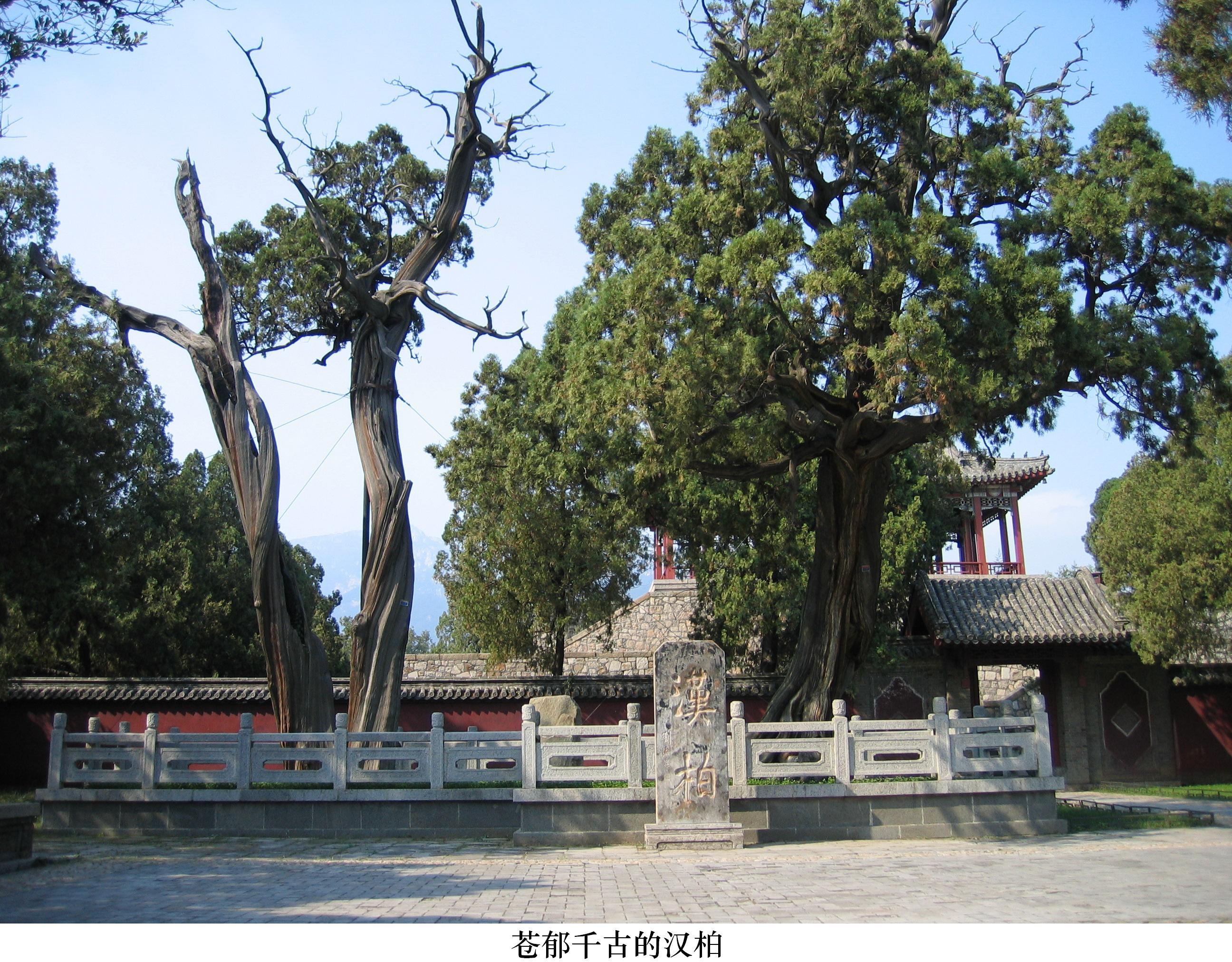 "Poetic China · Famous Chinese Mountains · Five Sacred Mountains" The ...