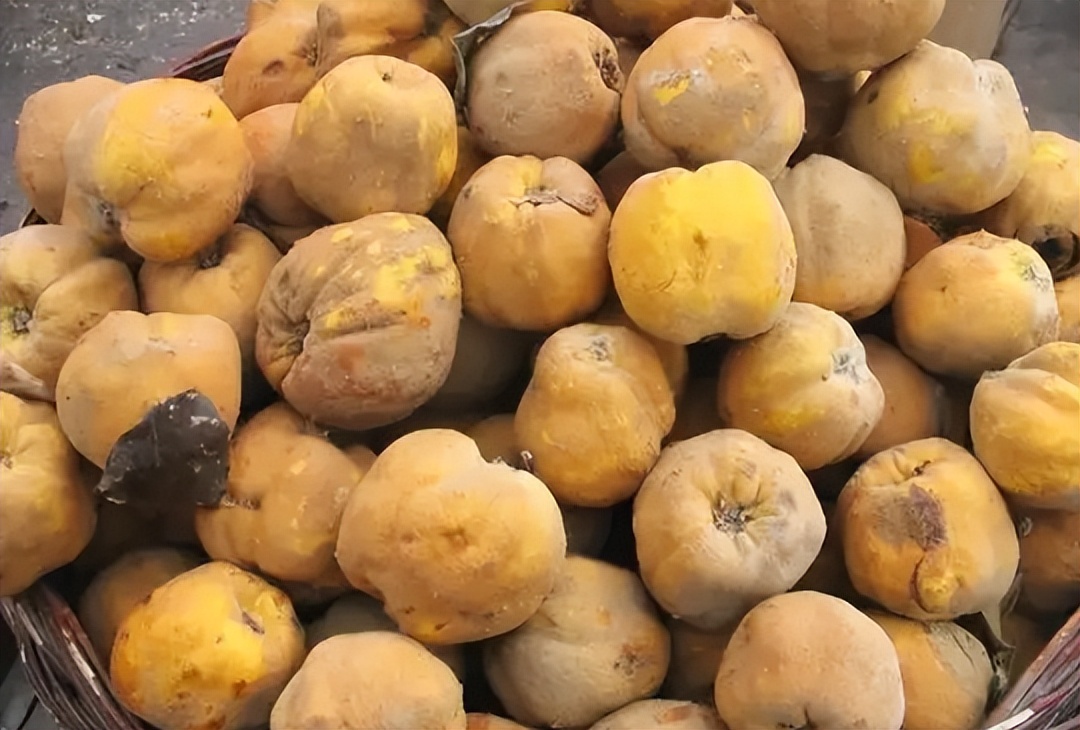 Commonly known as "wood pear", an ancient fruit that looks like a pear ...