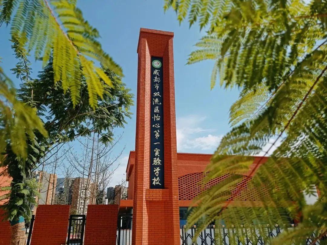 Another batch of new schools in Chengdu! Putting into use in September ...