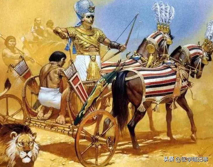 The Wings of War in Ancient Egypt : A Retracement of Military Power and ...