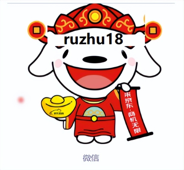 How does JD.com's self-operated store settle in, what are the ...