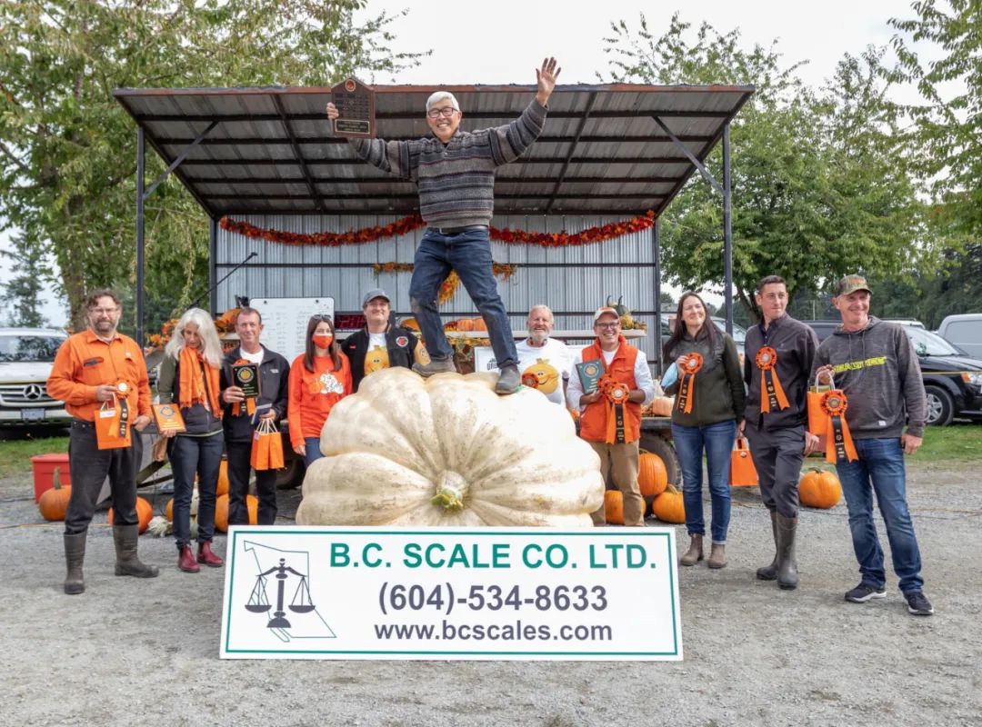Chinese-Canadian man grows 800 kilograms of super-large pumpkins ...