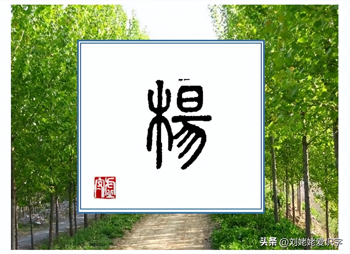 Grandma Liu speaks about hundreds of surnames: the origin of the Yang ...