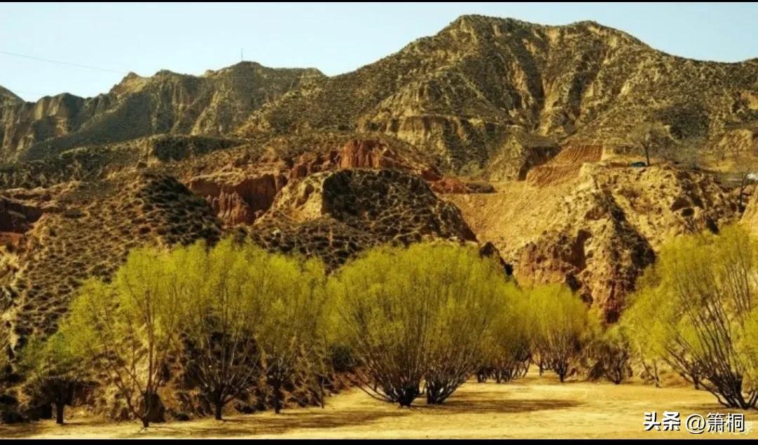 The Days "Hidden" in Beishan——Episode 18: A trip to Beishan to cleanse ...