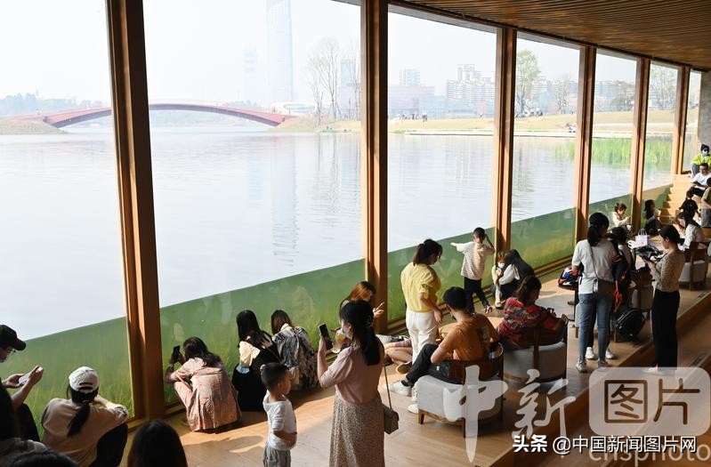 Chengdu: "Underwater" bookstore attracts people to check in - iNEWS