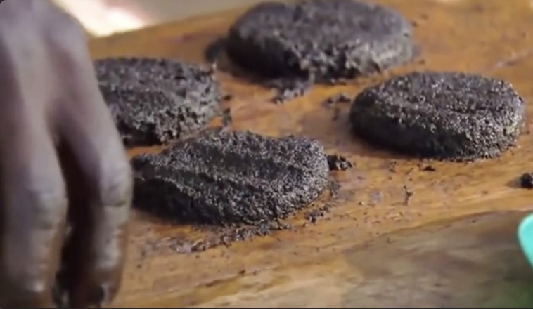 In foreign countries, mosquitoes are made into hamburger patties ...