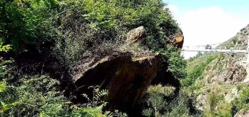 The Tortoise Keeps the Year Old - The Eighteenth Key Attractions of ...