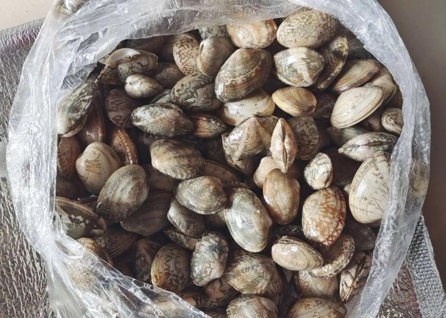 Have you ever eaten clam seafood soup and egg custard? - iNEWS