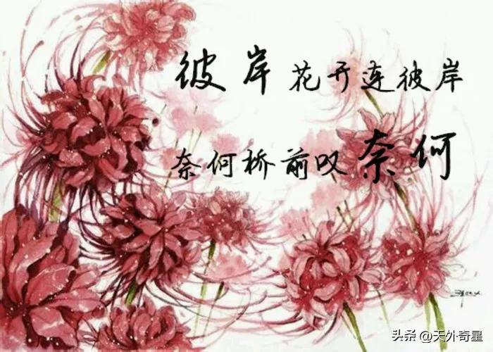 Someone asked Master Hongyi how he viewed life and death?The Master ...