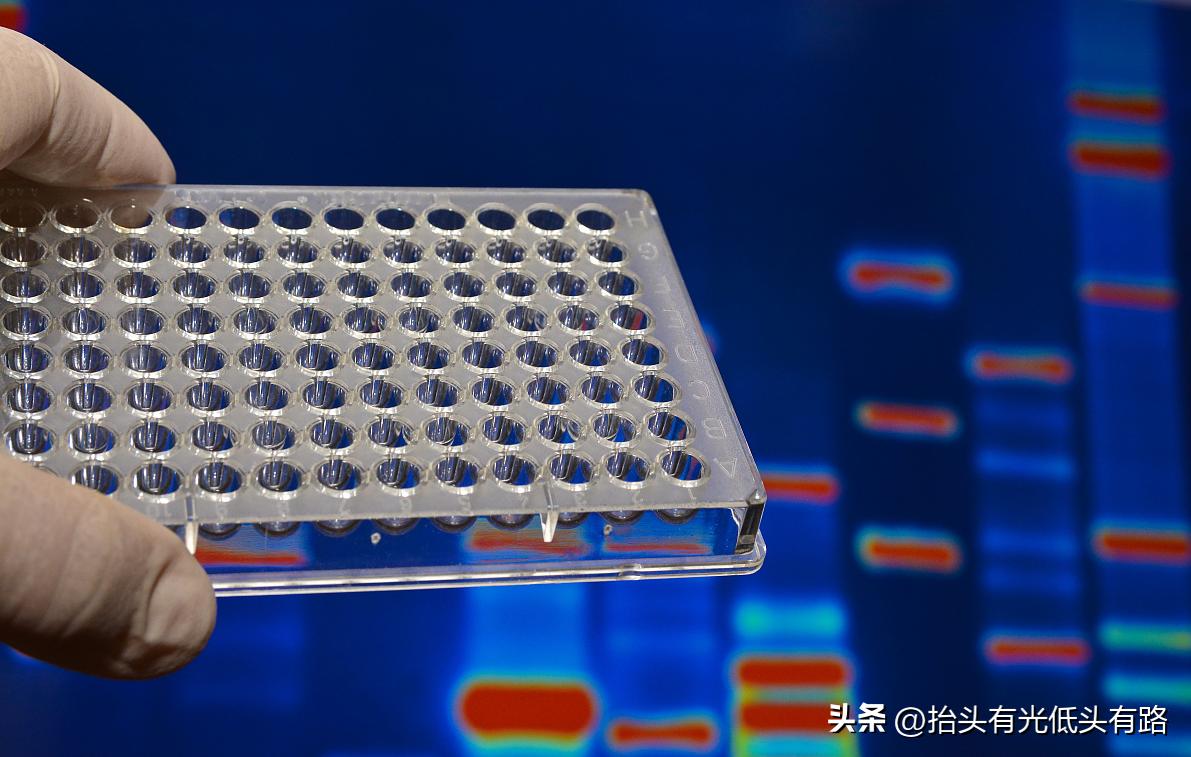 Semiconductor chip test: high and low temperature aging (HTOL) test ...