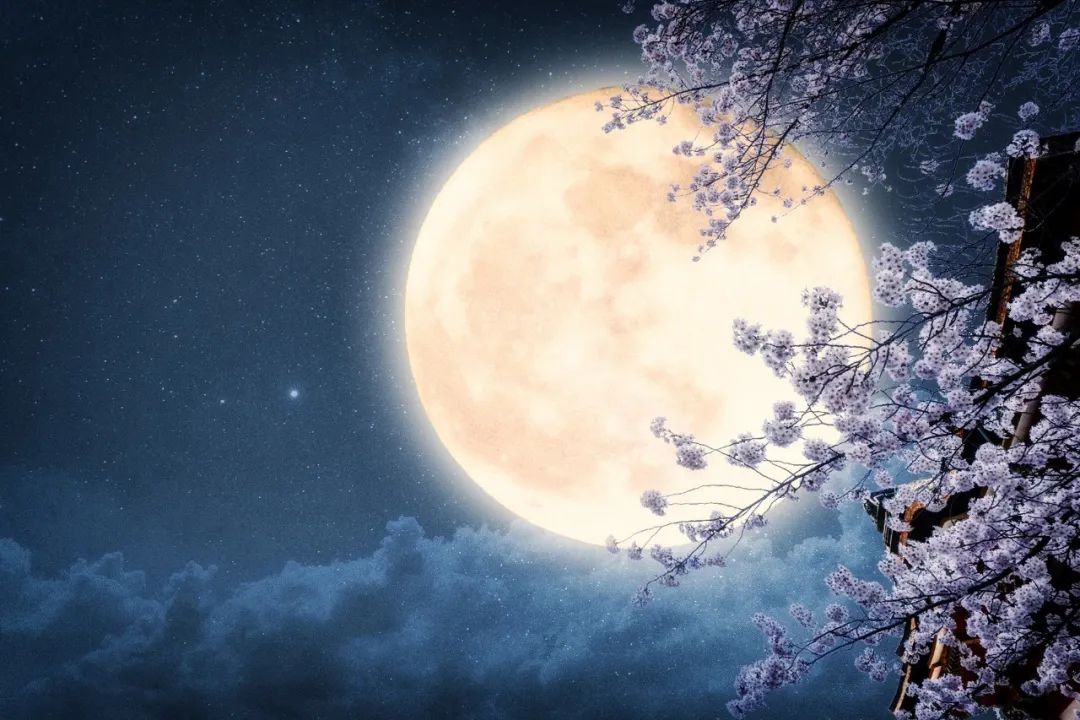 8 "Spring River Flower Moon Night", Zhang Ruoxu's incomparable, Yang ...