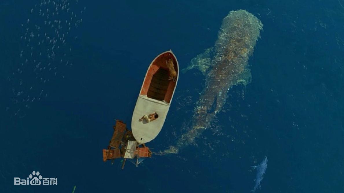 The theme and influence of the foreign comedy film "Life of Pi" - iMedia