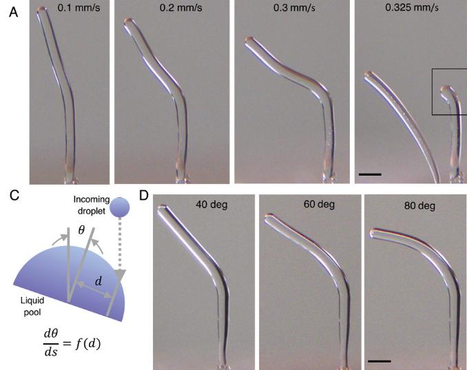 3D printing process can produce new biomedical and electronic devices ...