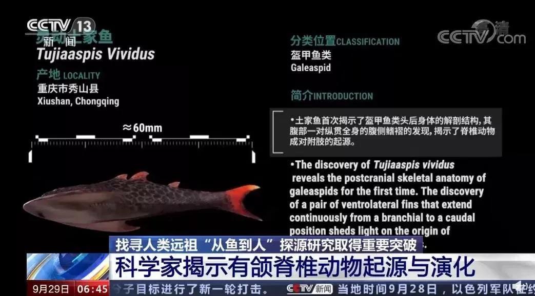 Humans evolved from fish, and scientists led by Zhu Min, an academician ...