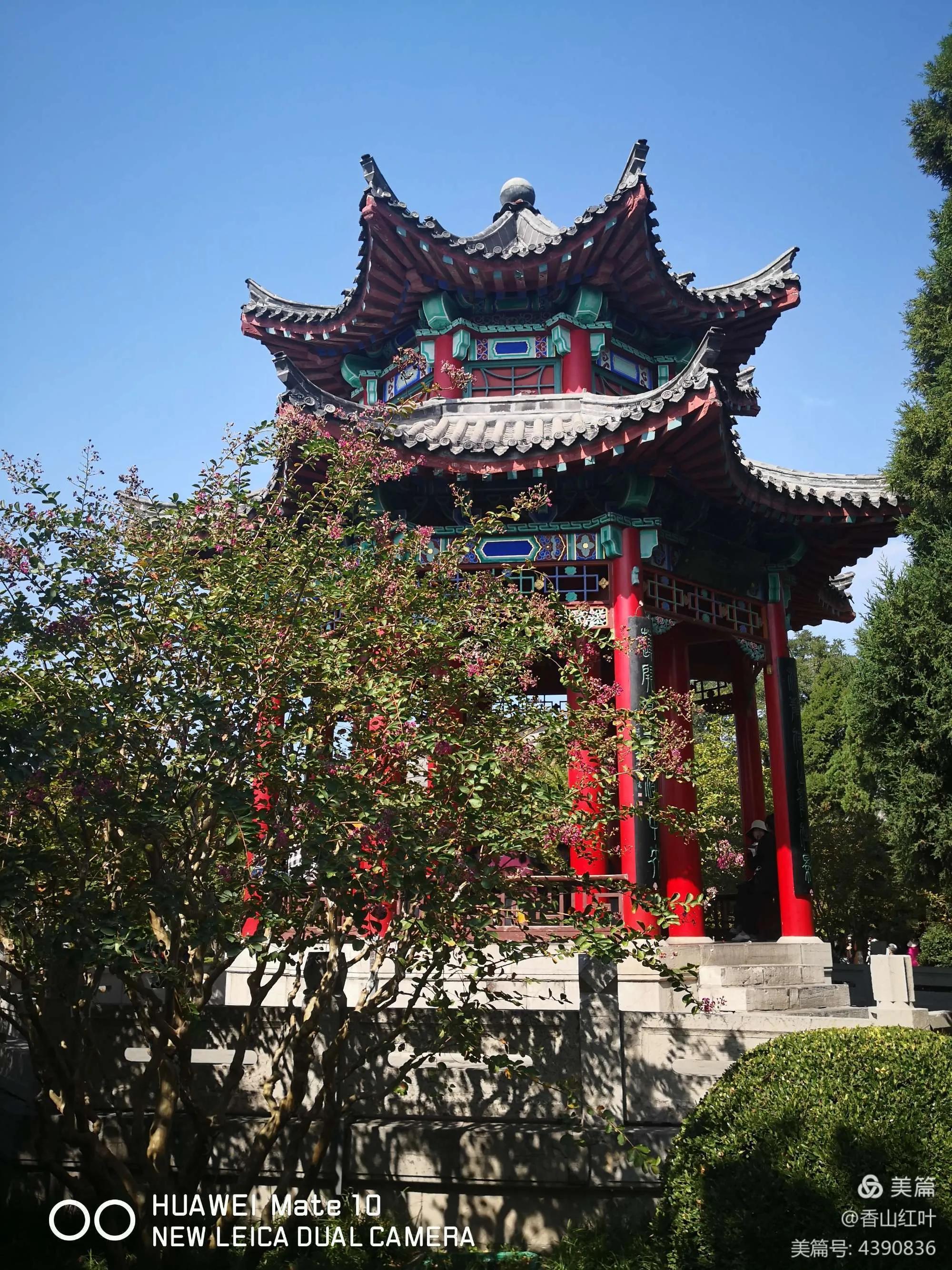 Autumn Tour to Daming Lake (Prose) - iNEWS