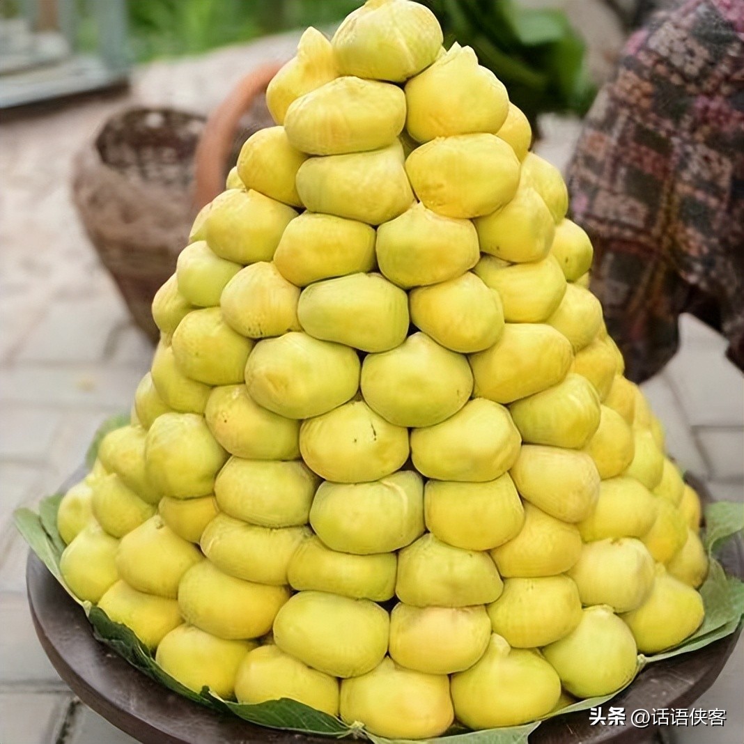 I tasted figs for the first time in Xinjiang - iNEWS