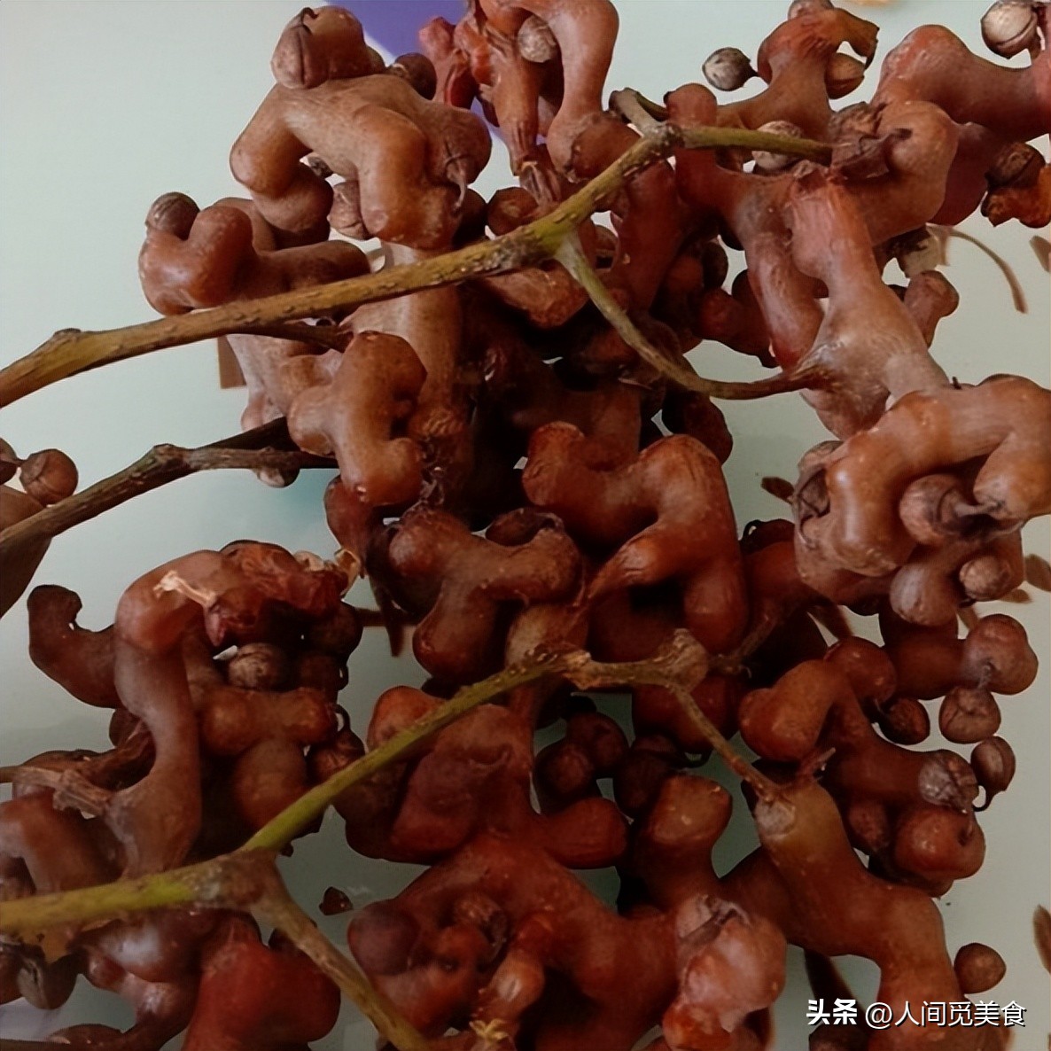 "Zhan Zhao" He Jiajin gorged on unknown fruits and showed off online ...