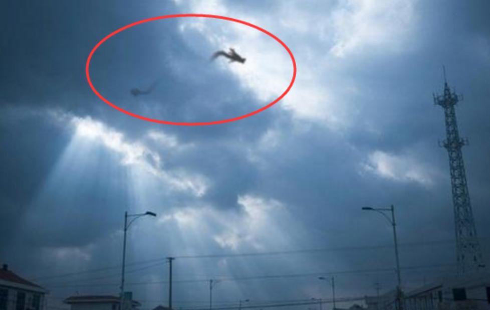 Do dragons exist? 90 years after the dragon falling incident in Yingkou ...