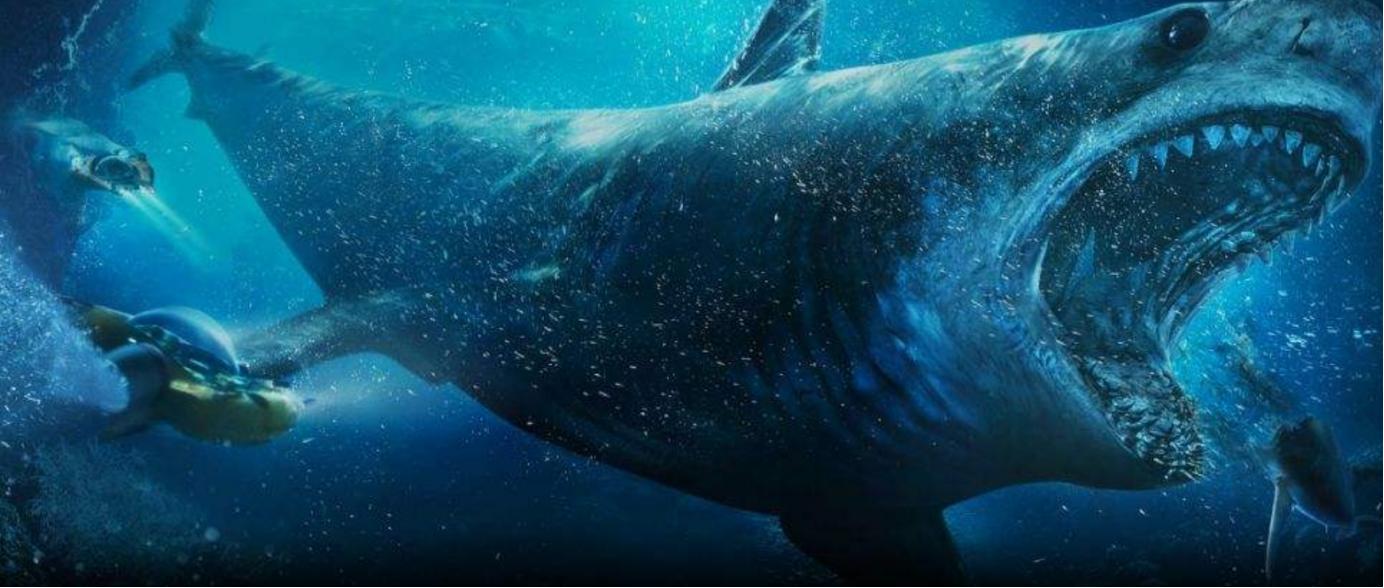 In 2013, a fishing boat in South Africa was attacked at sea. Witnesses ...