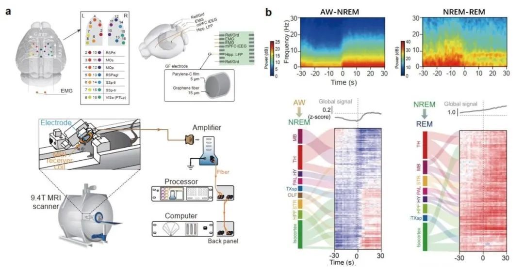 Sub-journal of Nature: Liang Zhifeng's group established a method for ...