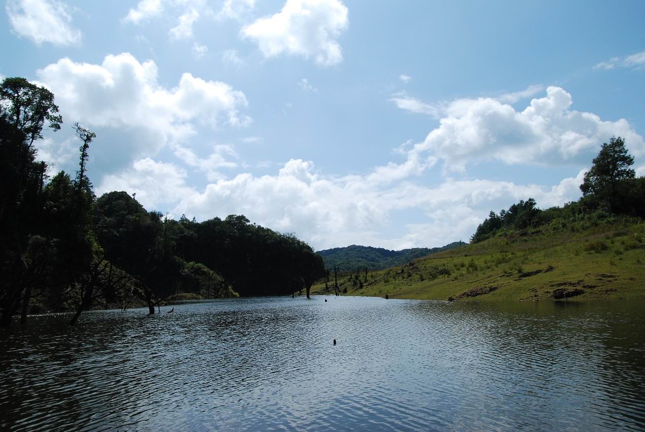 In Ailao Mountain, there are not only sorrowful scientific expeditions ...