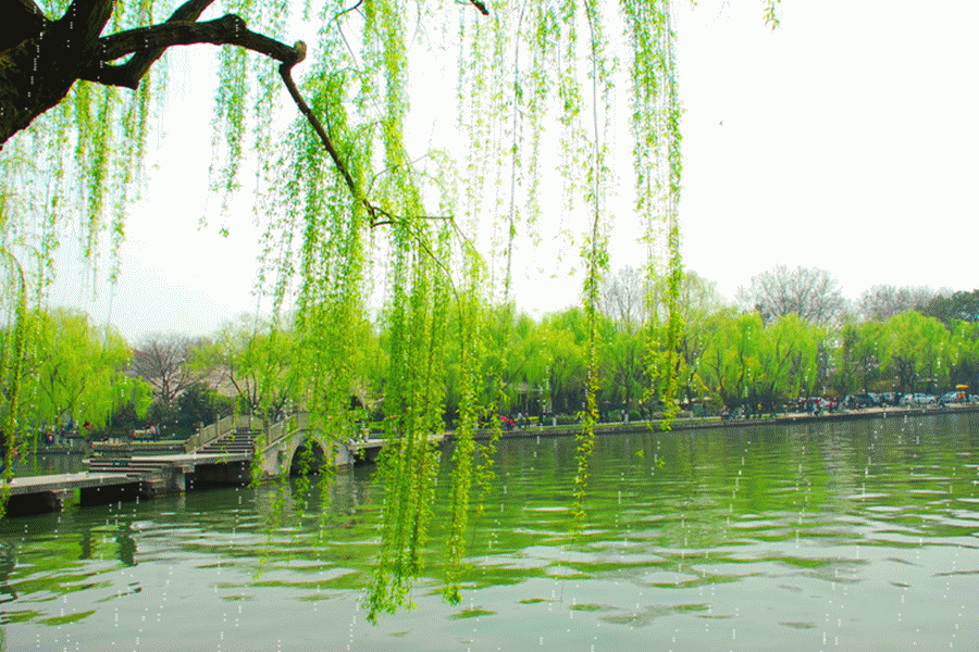 A Poetry of the Qin Dynasty: Liu Shaoqing • Wing Chun - iMedia