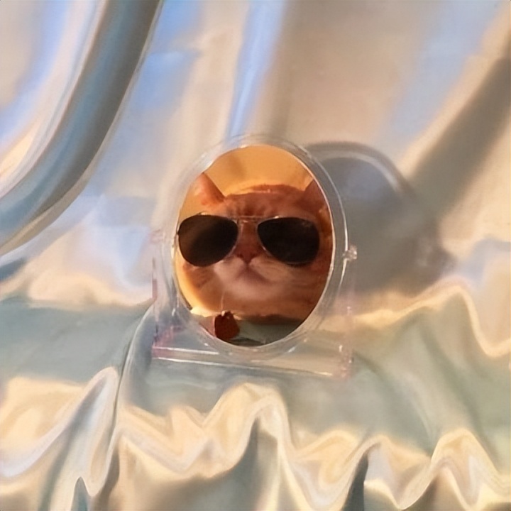 Strange headshots - with couple's headshots attached - iNEWS