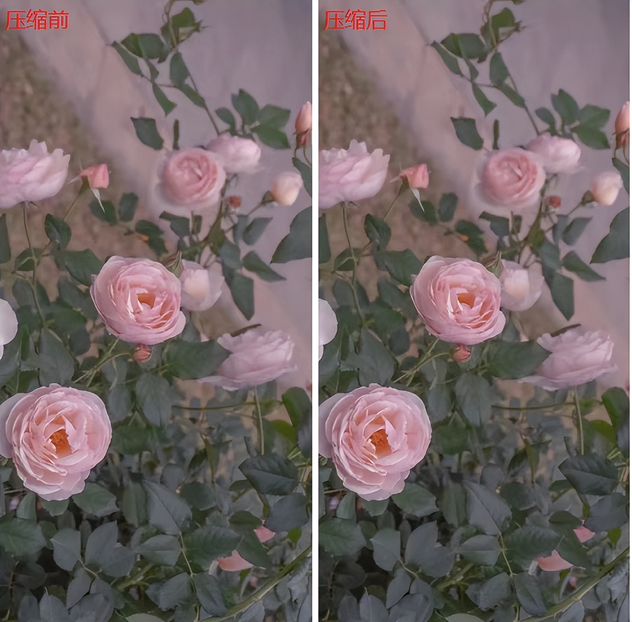 3 simple and efficient picture compression software, easy to compress ...