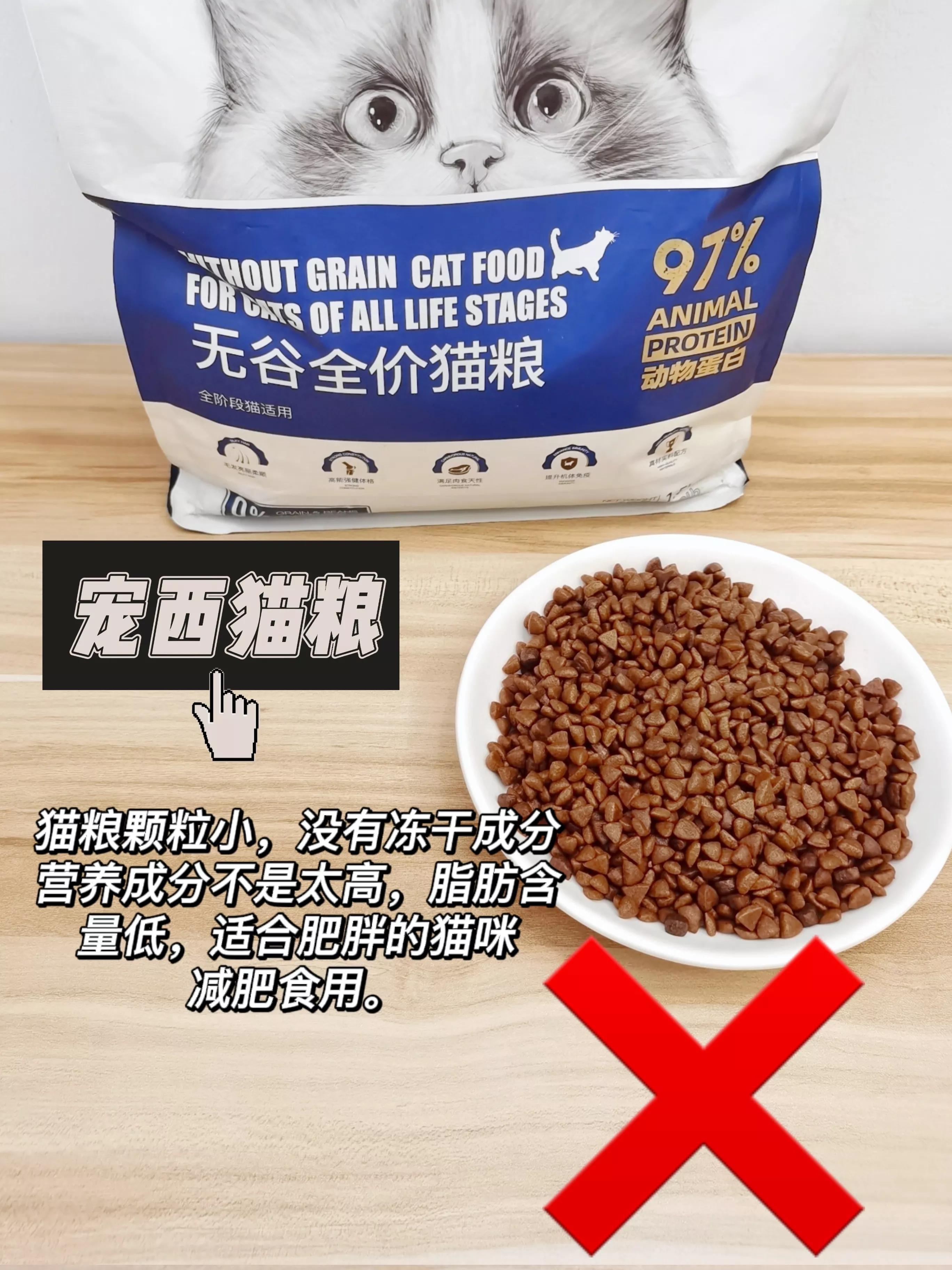 How to choose the right cat food for cats in different months? - iNEWS