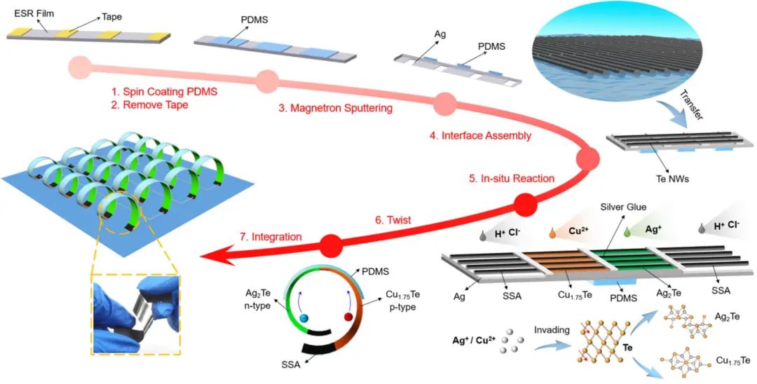 Chinese University of Science and Technology develops a novel Janus ...