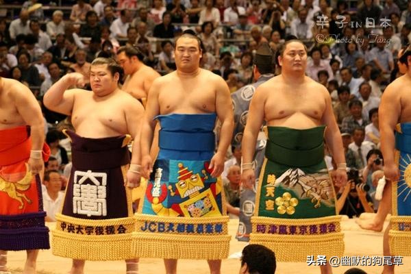 Why are Japanese sumo wrestlers fat and strong? - iMedia