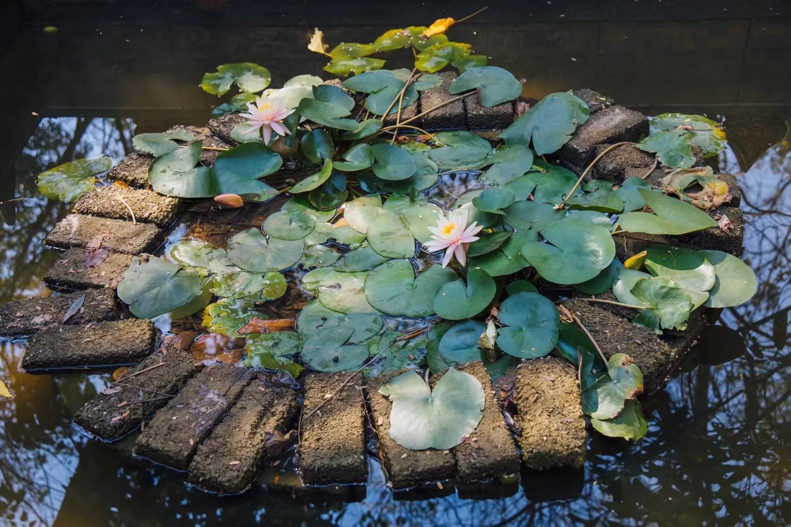 Symptoms of dampness in the body, liver, heart, spleen, lungs and ...