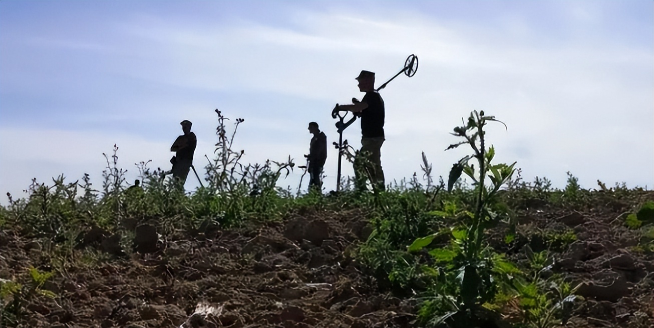 Russian professional "diggers" dig up 90% of them and sell them to ...