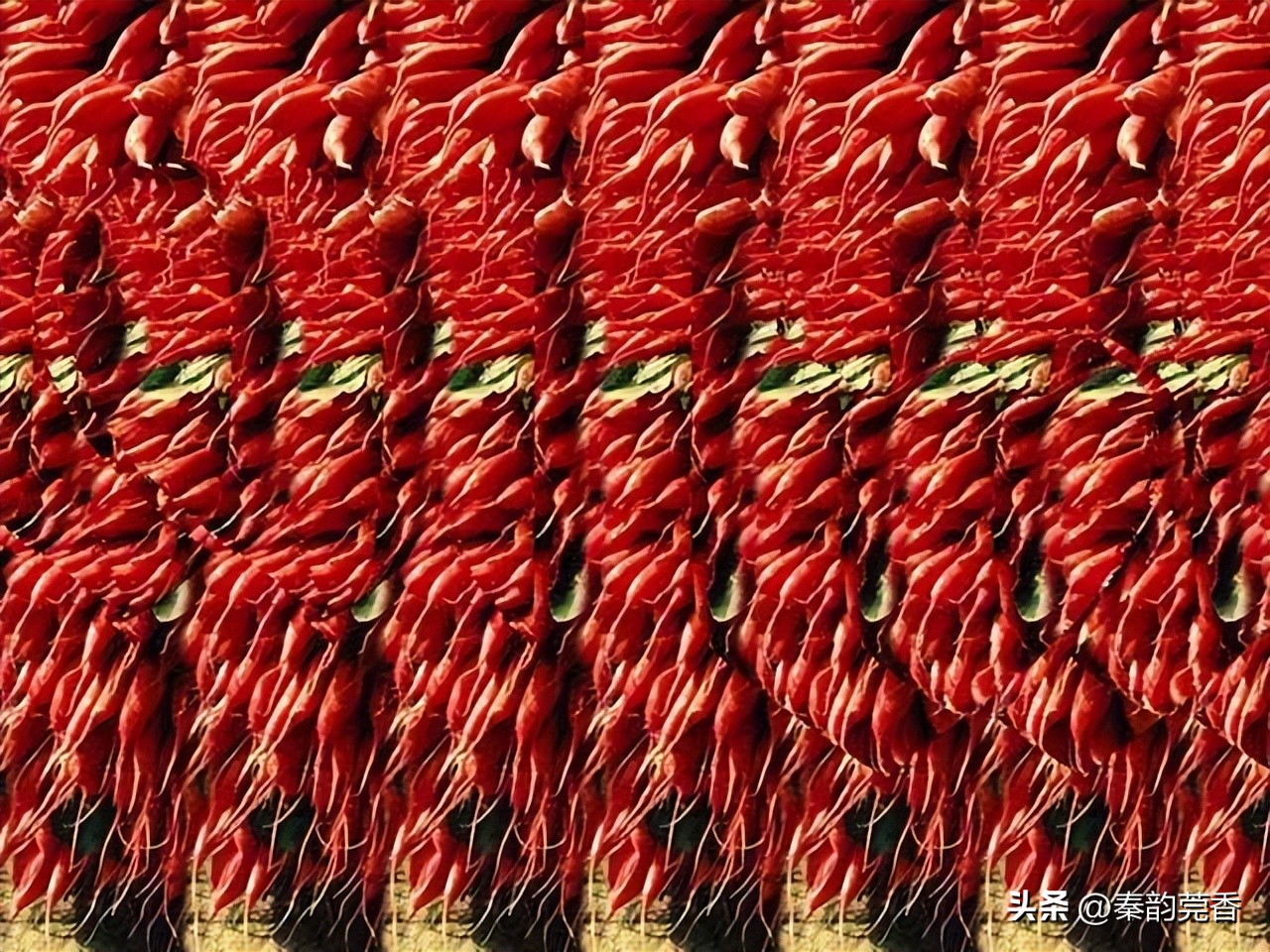 How to see the three-dimensional stereogram?The picture actually hides ...