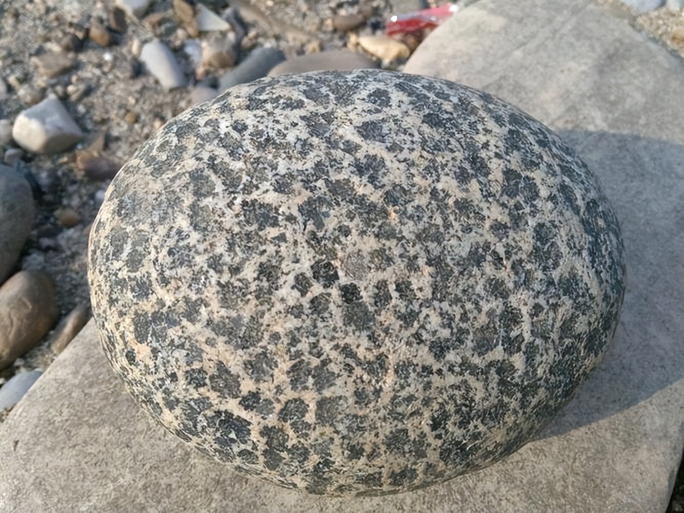 I have been picking up stones in Yichang for a month, and I can hardly ...